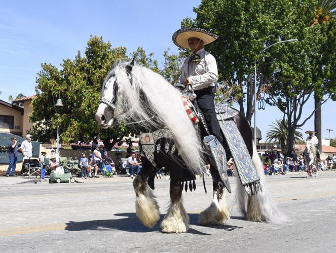 Floats, equestrians, dancers, dignitaries to highlight Elks Rodeo ...