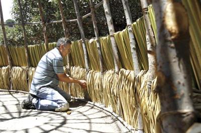 Tule houses redesigned, rebuilt | Recreation | syvnews.com