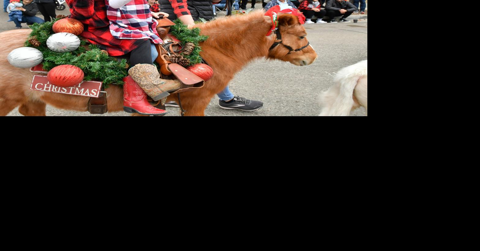 Solvang Julefest kicks off holiday season with tree lighting ceremony ...