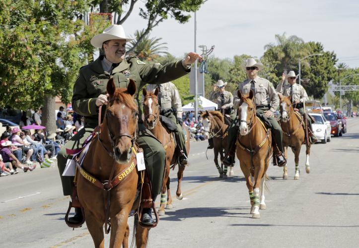 80th Santa Maria Elks Rodeo Parade steps out Saturday with bands ...
