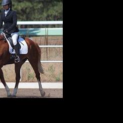 Debbie Roberts Loucks: Horse trainer of the year, 'That girl' | Columns ...