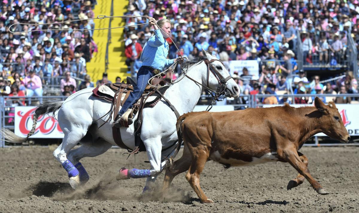 Central Coast students enjoy Mini Rodeo, learn about Western heritage ...
