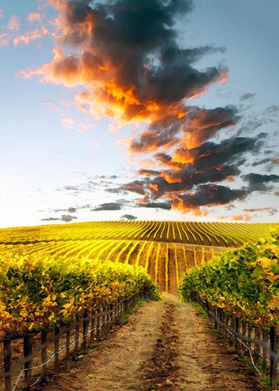 Photographic artist Sharon Foster's work to be on view in Los Olivos ...