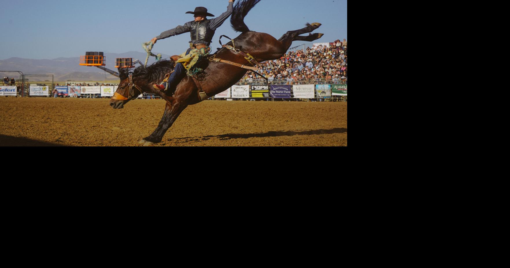 Top cowboys take titles at Old Santa Ynez Days Rodeo | Local news ...