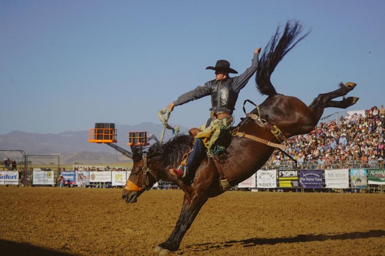 Top cowboys take titles at Old Santa Ynez Days Rodeo | Local news ...