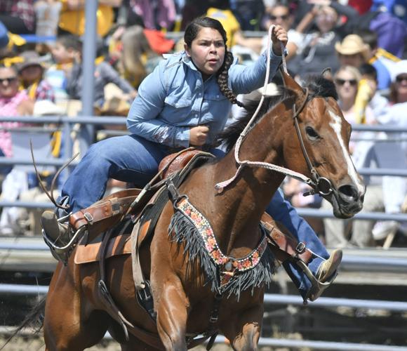 Elks Minetti Mini Rodeo qualifier, CCCA junior rodeo coming up | High ...