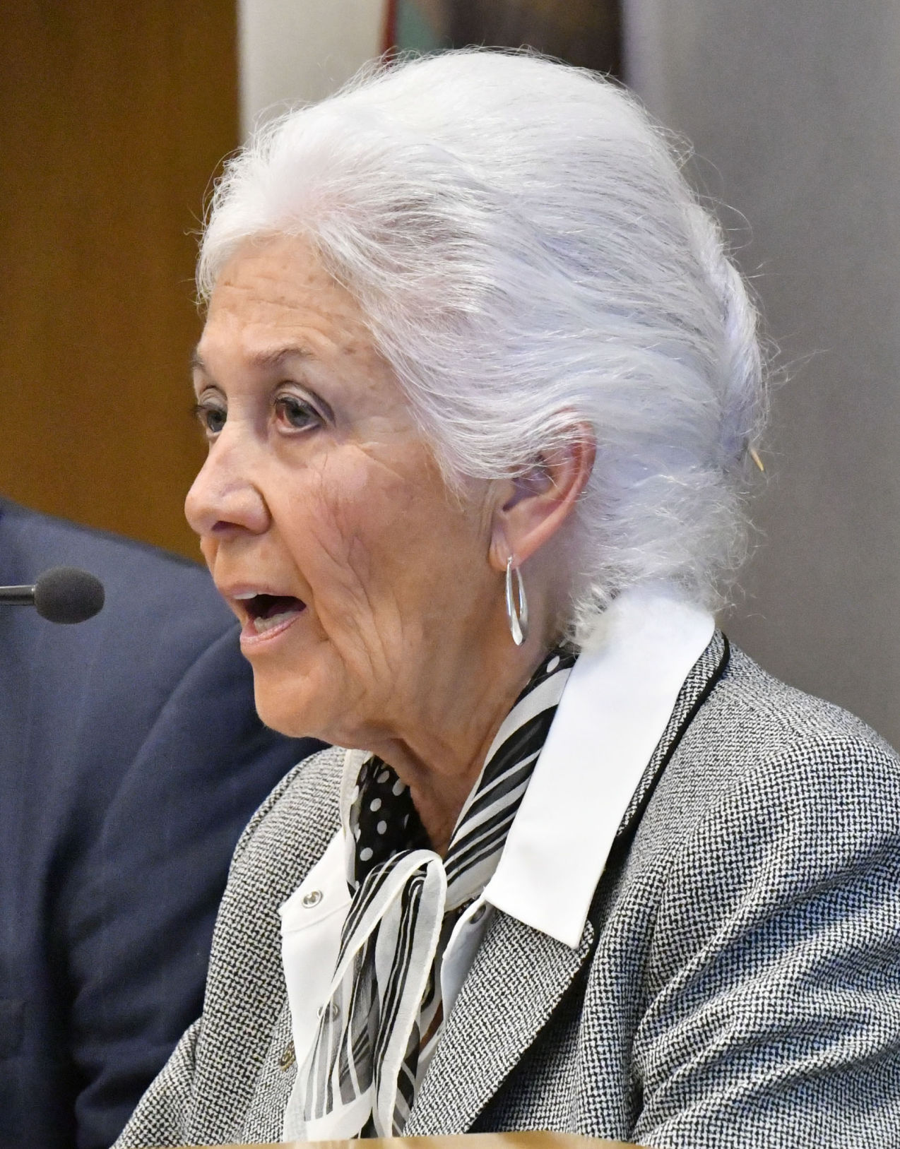 GALLERY: Take a closer look at Santa Maria's new election districts ...