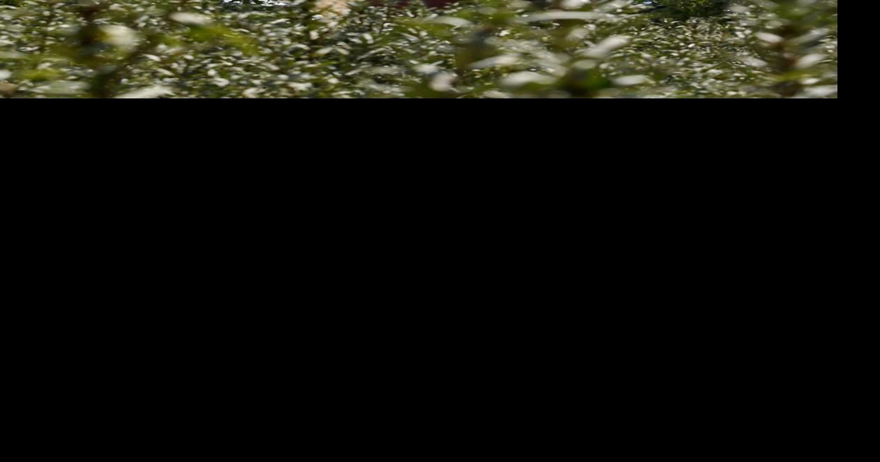 Rock Front Ranch permanently conserved for wildlife, grazing by ...