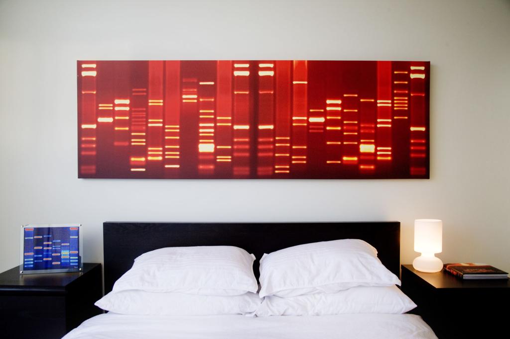 dna wall