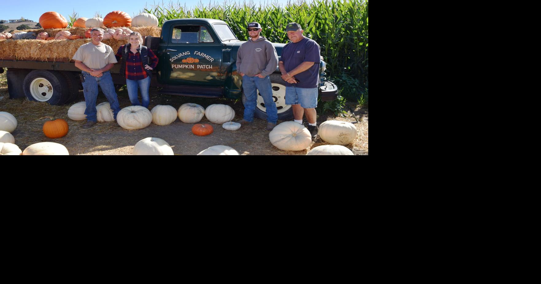 Solvang Farmer Pumpkin Patch: Three generations and growing | Valley ...