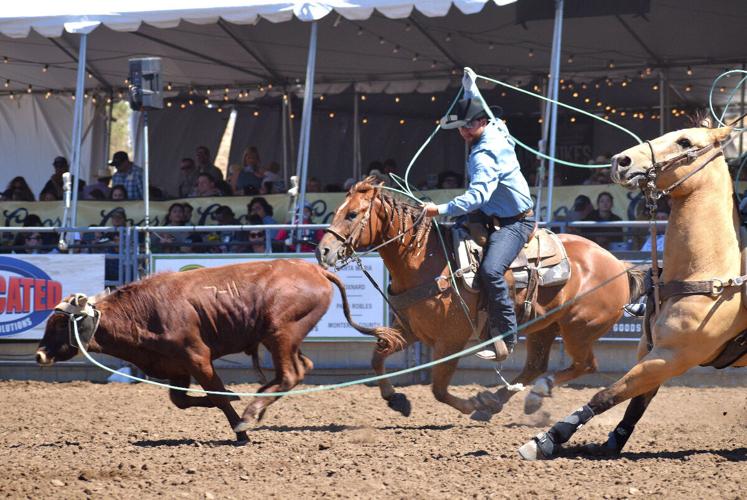 79th annual Santa Maria Elks Rodeo sees record crowds | Local news ...