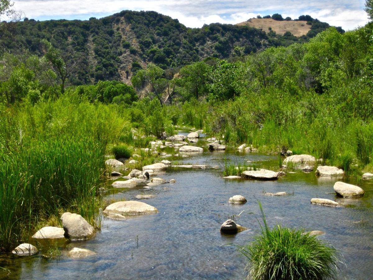 Lecture explores Santa Ynez River watershed | Valley Life | syvnews.com