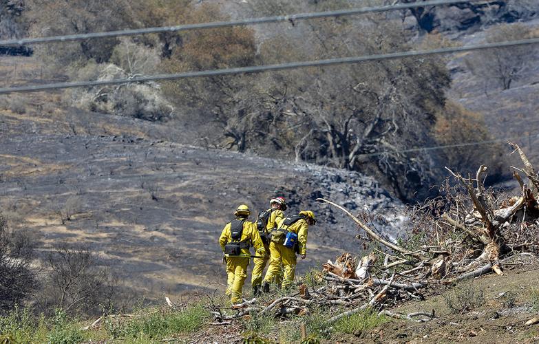 Despite heavy winds, firefighters gaining upper hand on Sherpa fire ...