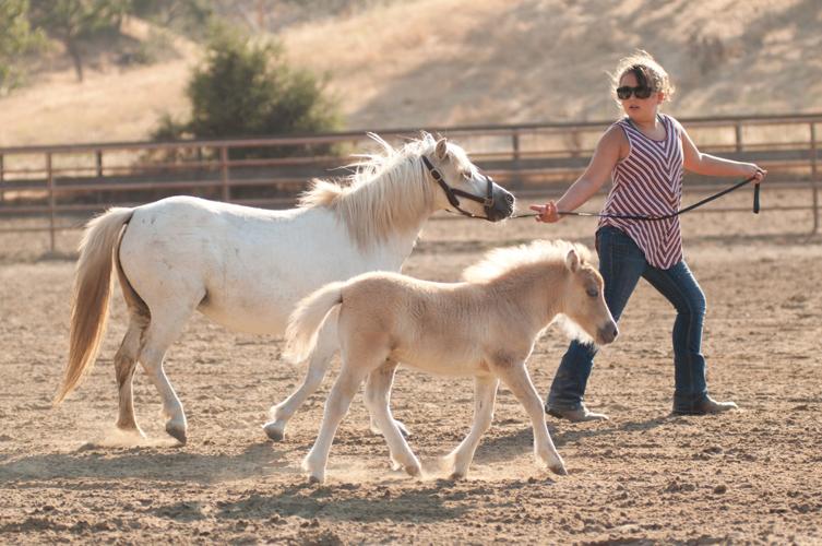 Ramon Becerra, roping his way to stardom | Valley Life | syvnews.com