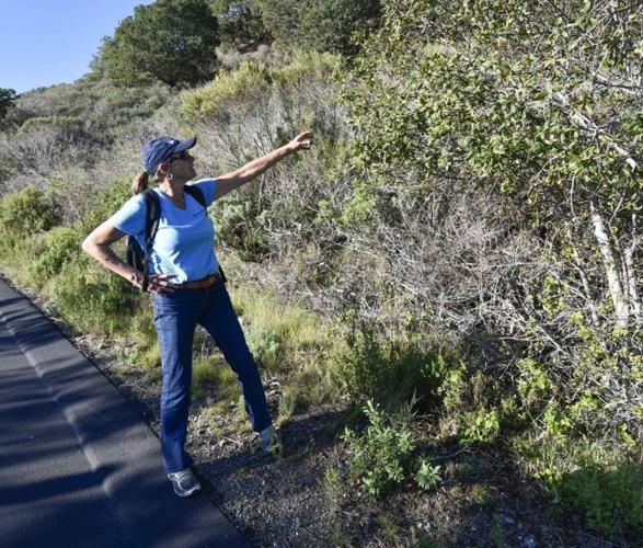 GALLERY: Hiking the Pecho Coast Trail | | syvnews.com