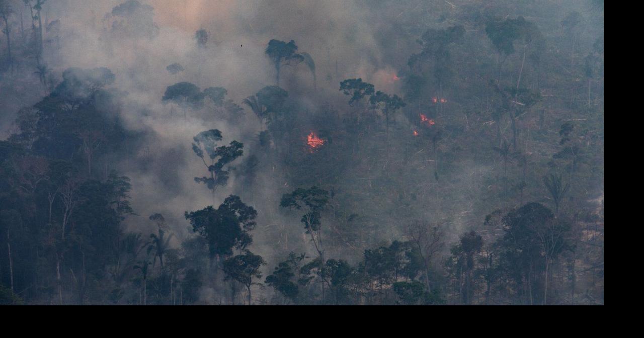 No, The Amazon Rainforest Doesn't Produce 20% Of The World's Oxygen ...