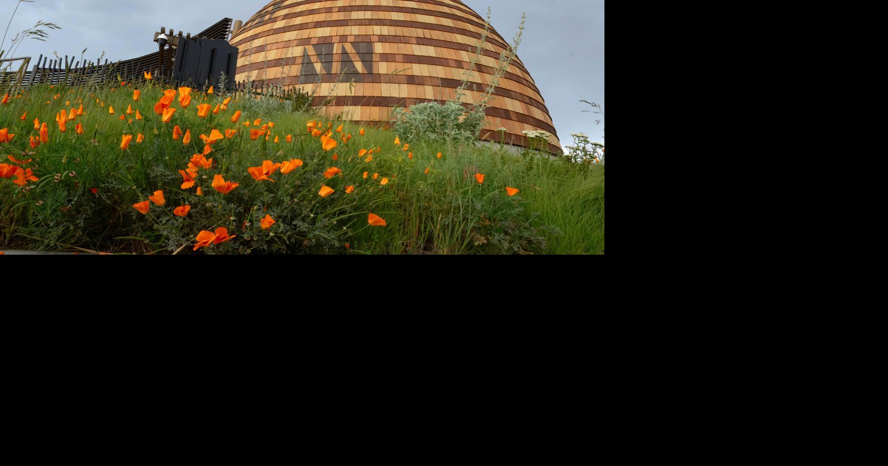 Santa Ynez Chumash Museum launches monthly speaker series | Local news ...