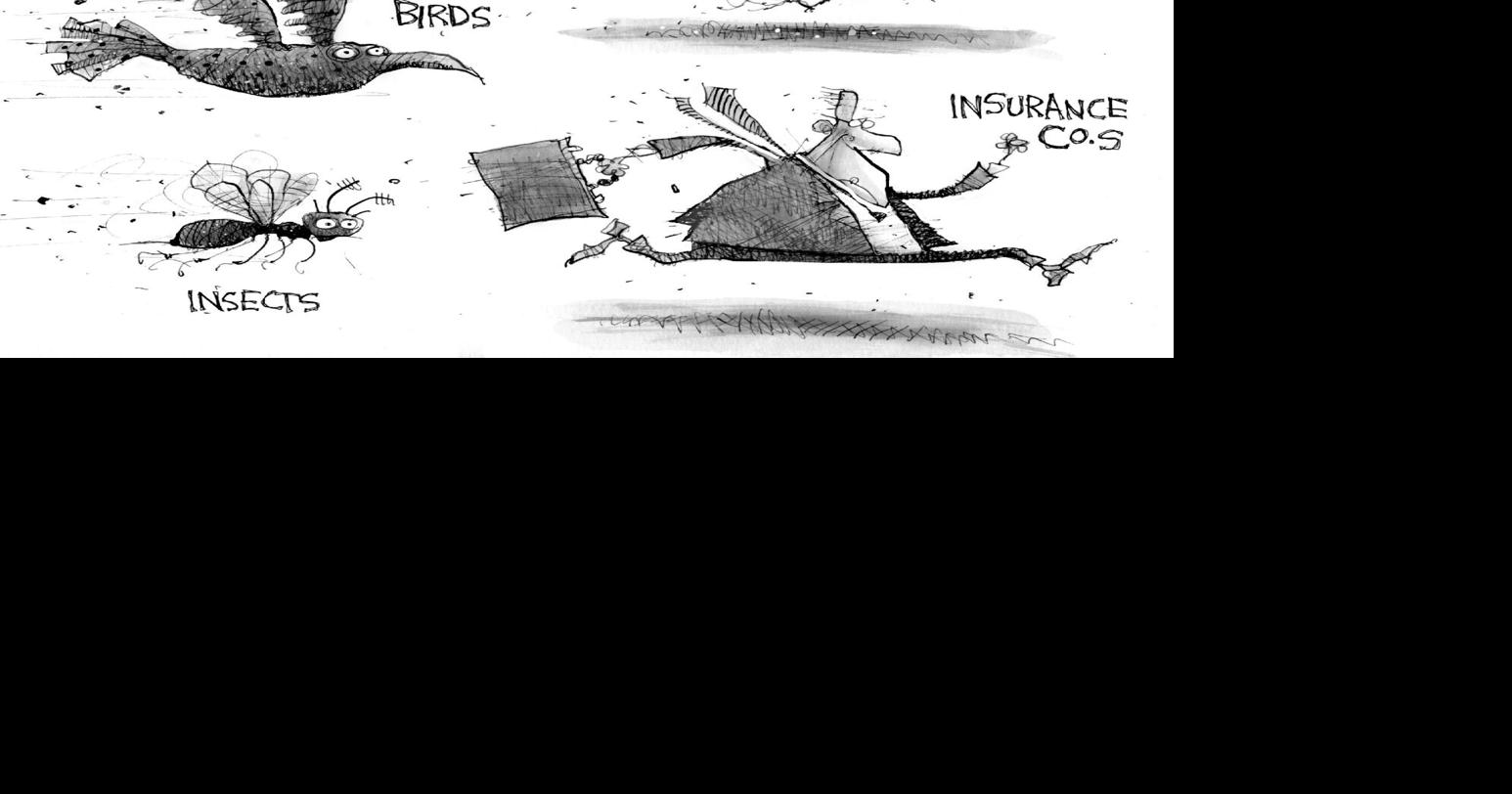 Editorial Cartoon: Insurance on the run | Editorial | syvnews.com