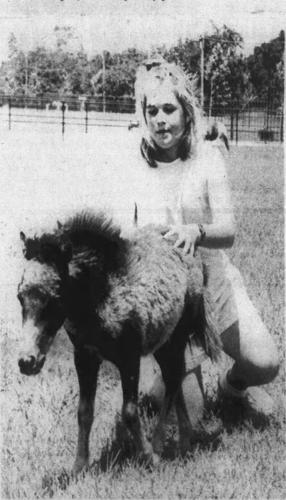TBT: Santa Ynez Valley's Quicksilver Miniature Horse Ranch's little ...