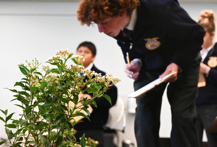 Hancock hosts FFA Field Day for 300 students, 20 high schools | Local ...