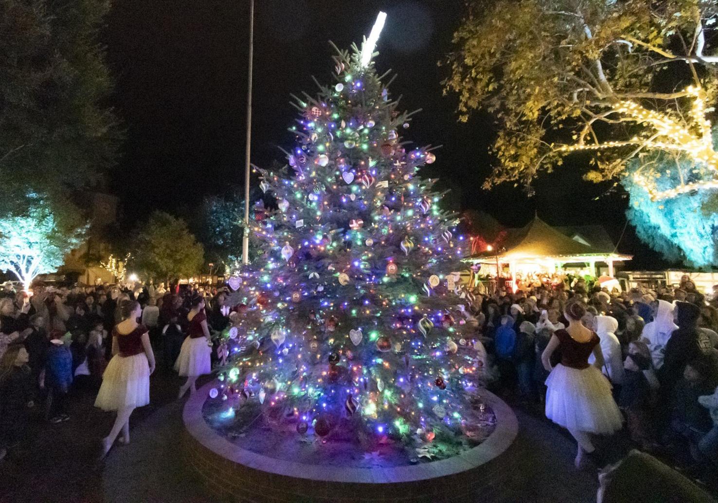 Solvang Julefest tree lighting ceremony captivates large crowds | Local ...