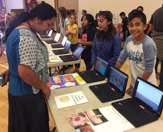 Budding scientists delve into mysteries of communicable human diseases ...