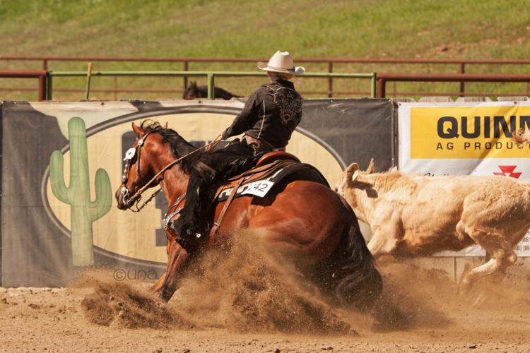 Sherry Linane, a Valley equestrian star | Valley Life | syvnews.com