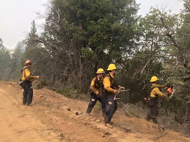County Fire chief ‘cautiously optimistic’ after mild fire season ...