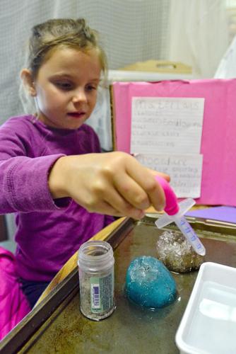 Santa Maria Montessori hosts annual Science Fair | | syvnews.com
