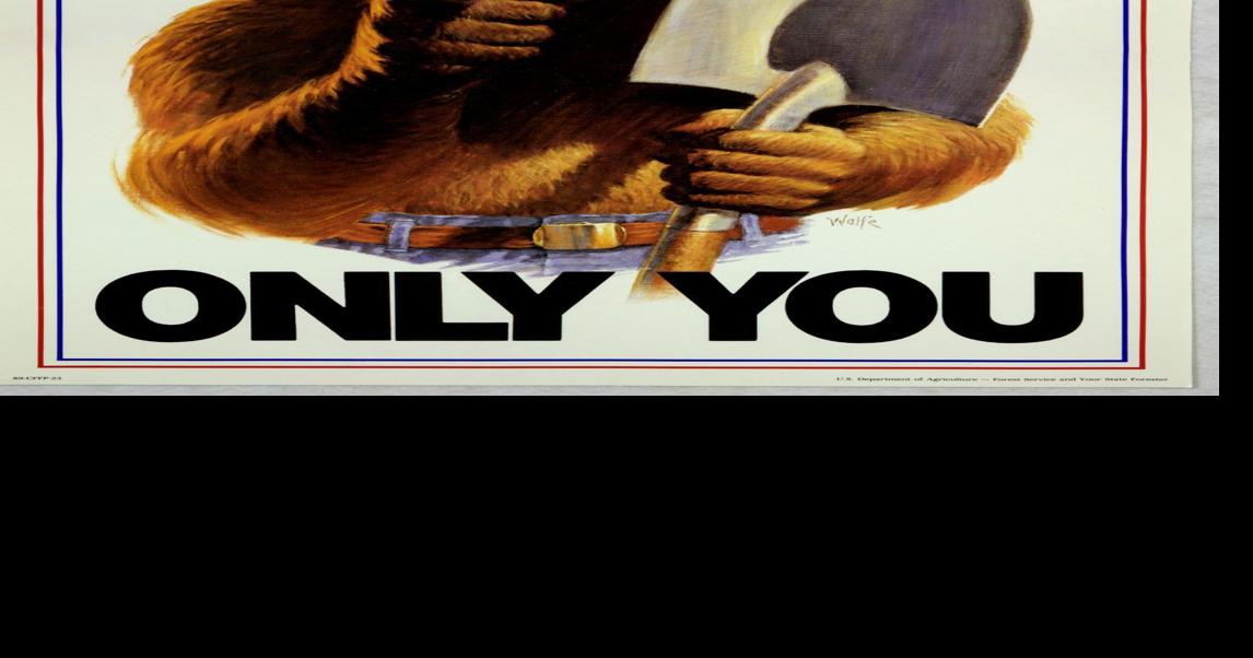 Smokey Bear: The iconic symbol of wildfire prevention may not be who ...