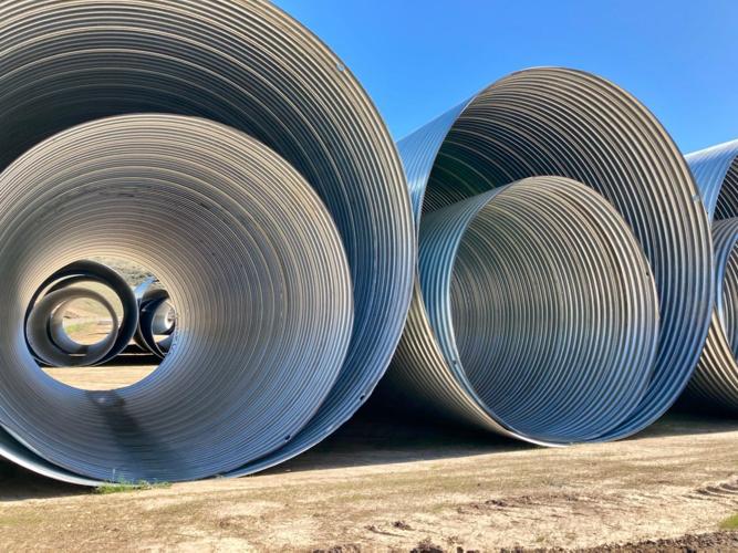 Lompoc's Strauss Wind Project a major site for endangered plant species ...