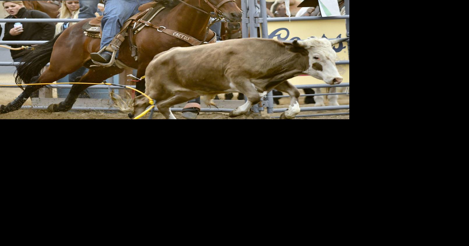 Pro Rodeo: Five-time world champion Luke Branquinho facing knee surgery ...