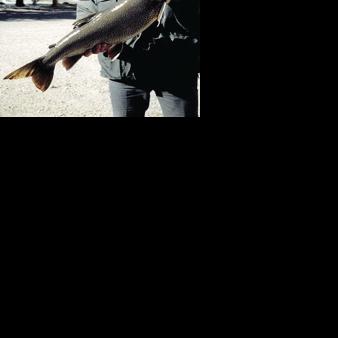 Harry "Joe" Canutt | Obituaries | syvnews.com
