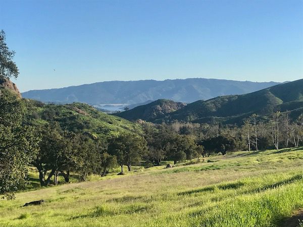 Ojai naturalist to lead rare herb walk at Taft Gardens & Nature ...