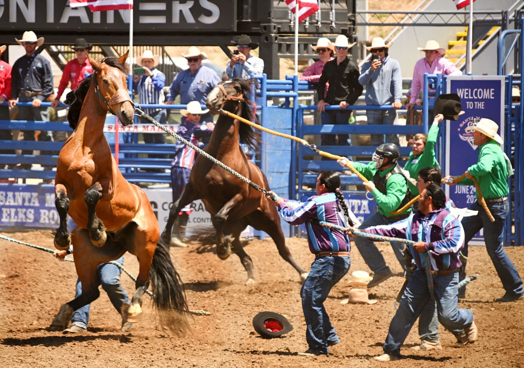 Santa Maria Elks Rodeo wraps up five day run with action packed Sunday ...
