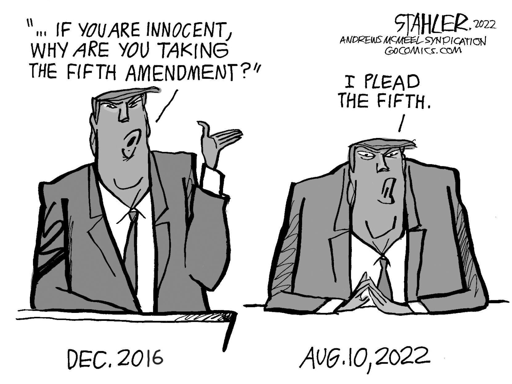 fifth amendment cartoon