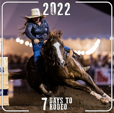 7 Days to Rodeo: Recognizing the amazing women in rodeo! | Local news ...