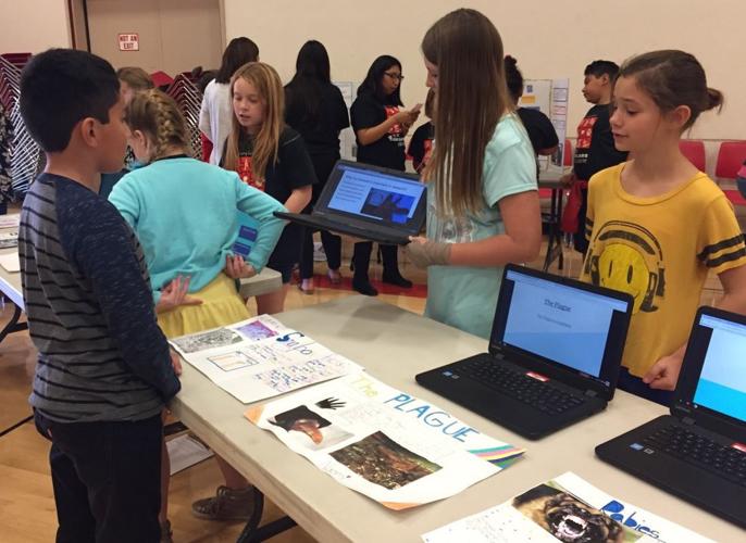 Budding scientists delve into mysteries of communicable human diseases ...