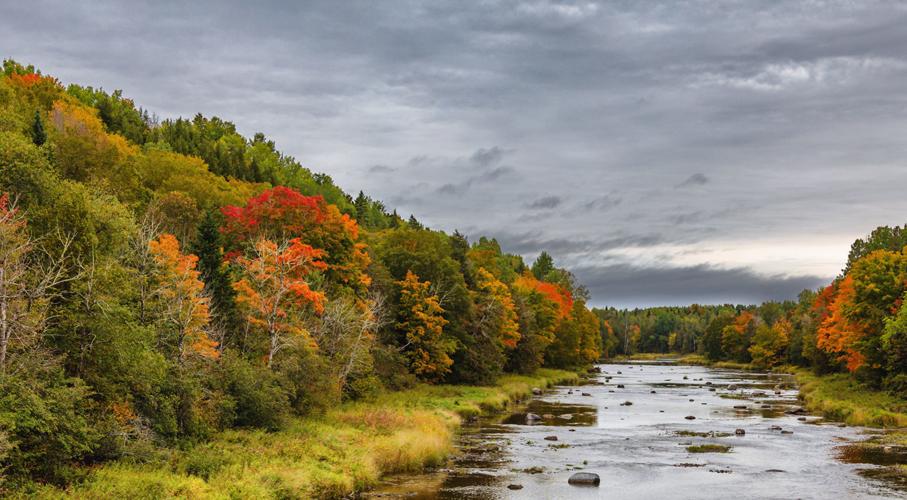 Santa Maria Camera Club announces competition winners | Valley Life ...