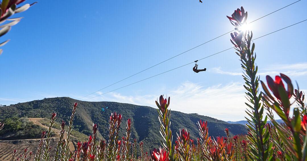 Buellton's Highline Adventures park features 'biggest, fastest ziplines ...