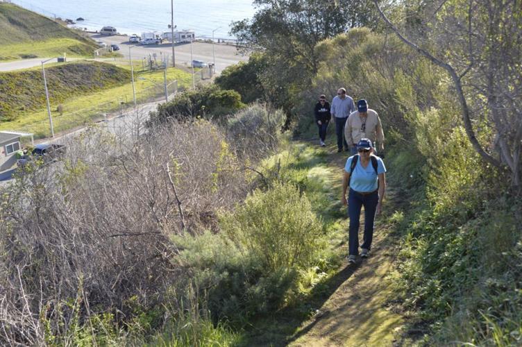 GALLERY: Hiking the Pecho Coast Trail | | syvnews.com