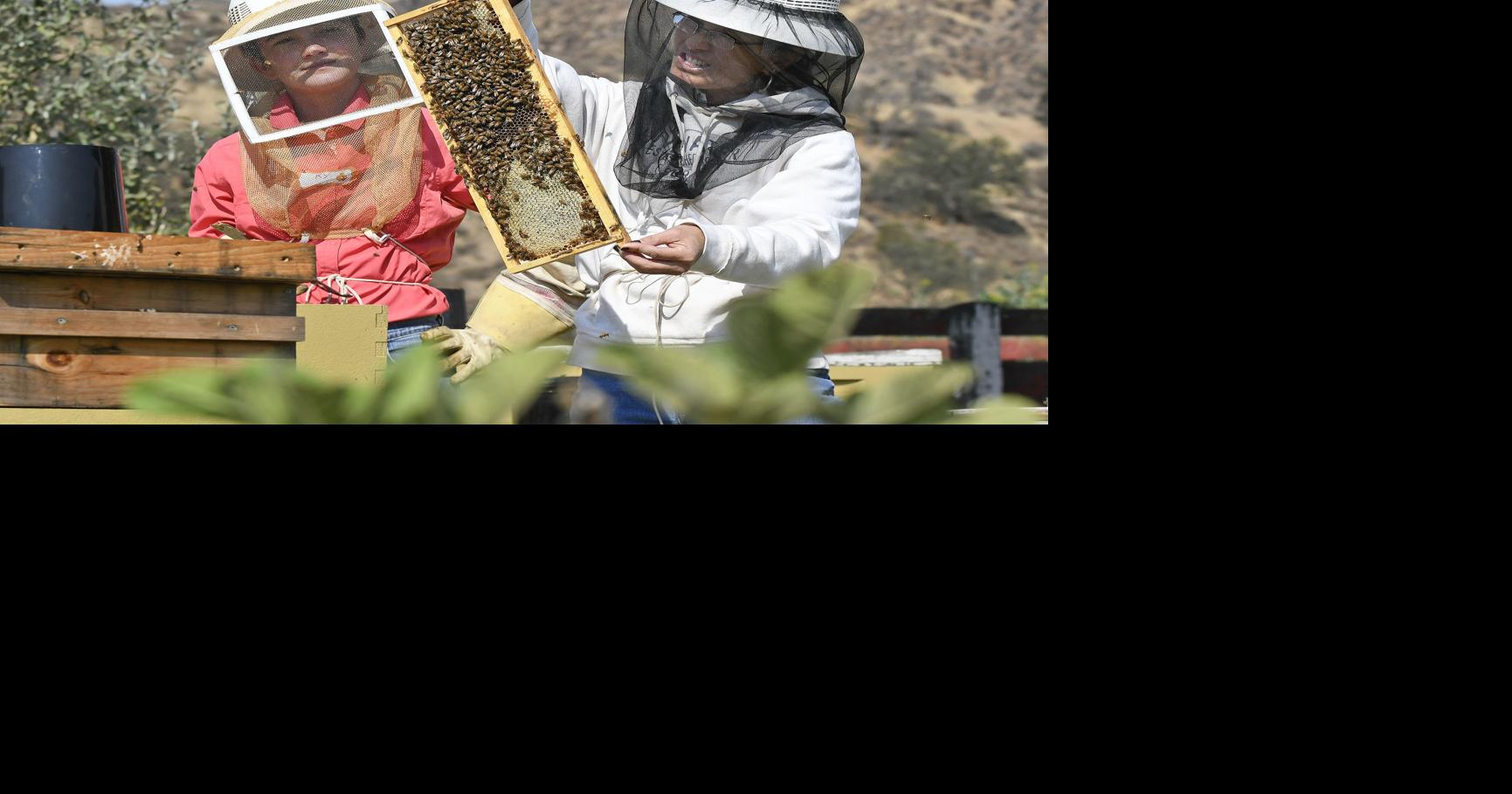 Bees, butterflies and other county pollinators getting millions in ...