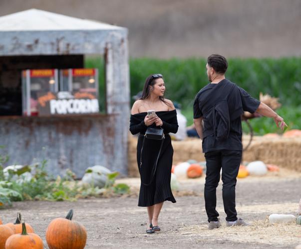 Solvang Farmer Pumpkin Patch kicks off season with field of gourds ...