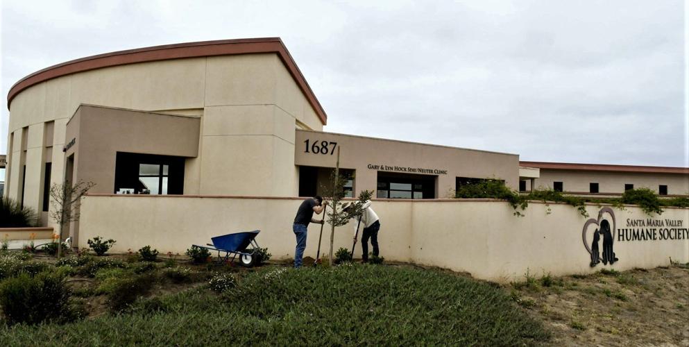 Santa Barbara Humane helped 20K animals with medical care, adopted out ...