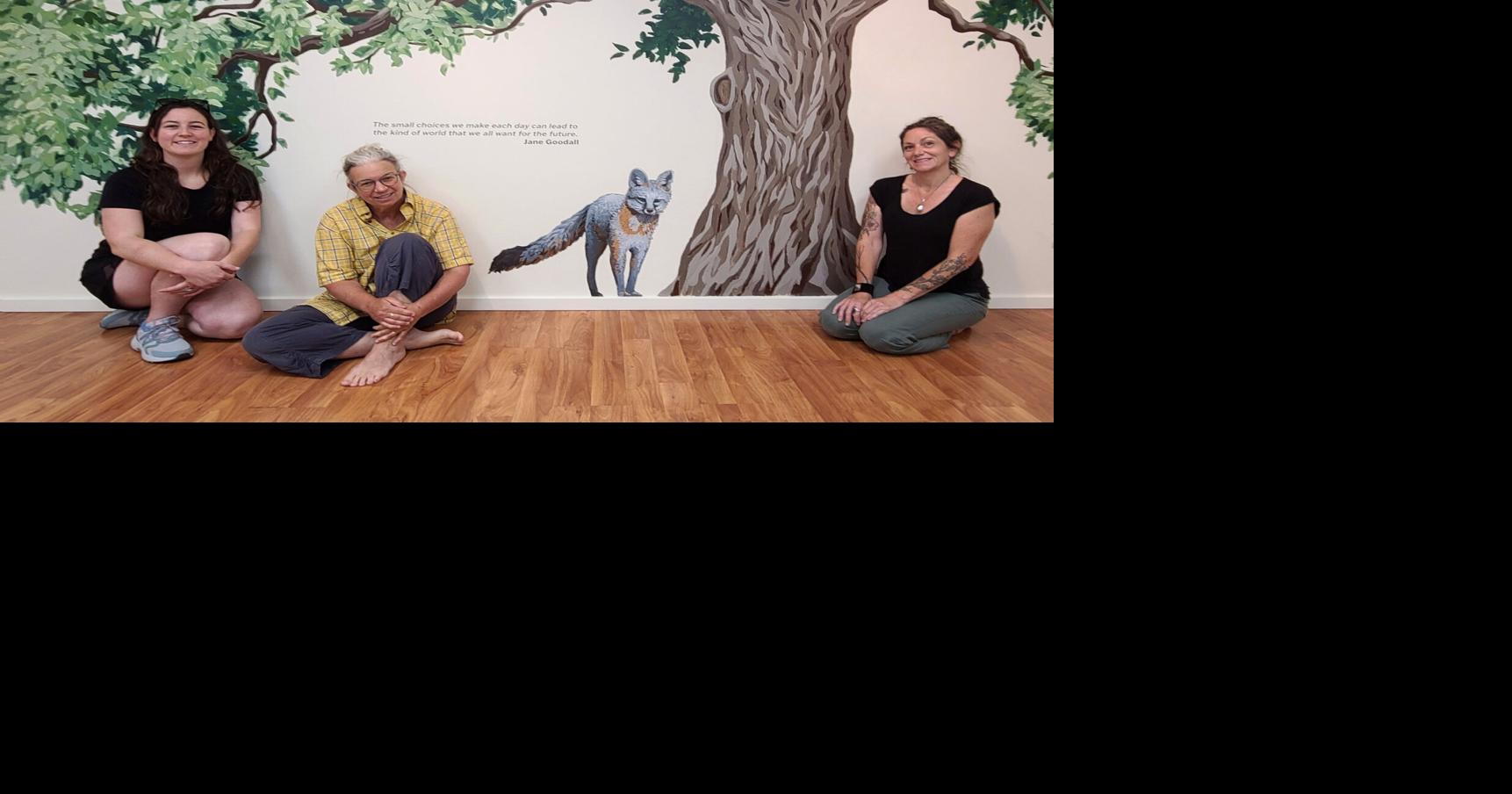 Local artists volunteer time, talent to new mural project at Wildling Museum in Solvang | Local ...