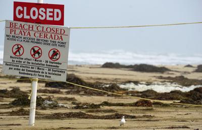 Seasonal beach restrictions for Surf, Wall and Minuteman beaches begin ...