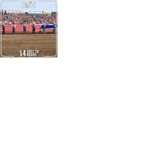 14 Days to Rodeo: Minetti Mini Rodeo it will make its post-COVID debut ...