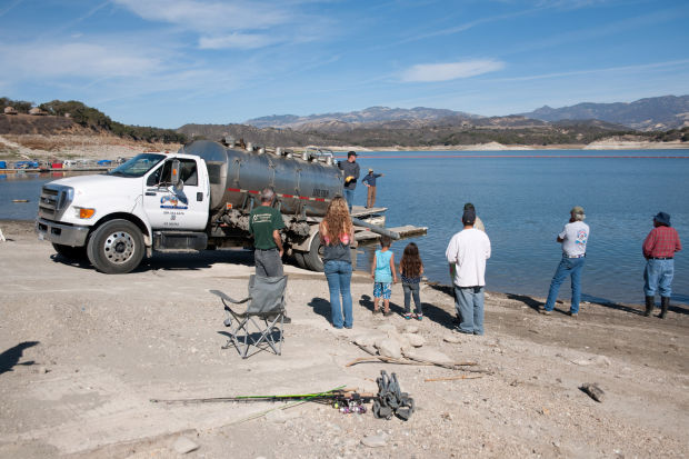 Trout dropped into Cachuma Lake | Local news | syvnews.com