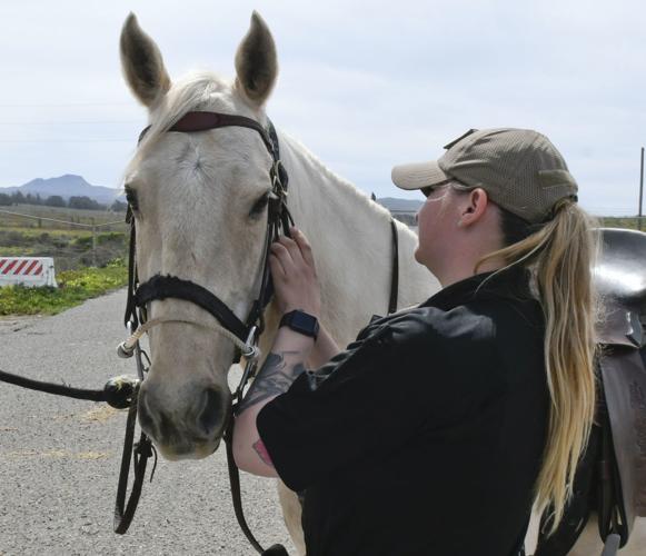 Vandenberg Air Force Base utilizes unique horse patrol to help protect ...