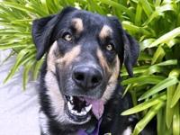 Sheldon Canley, Lompoc RB | | syvnews.com